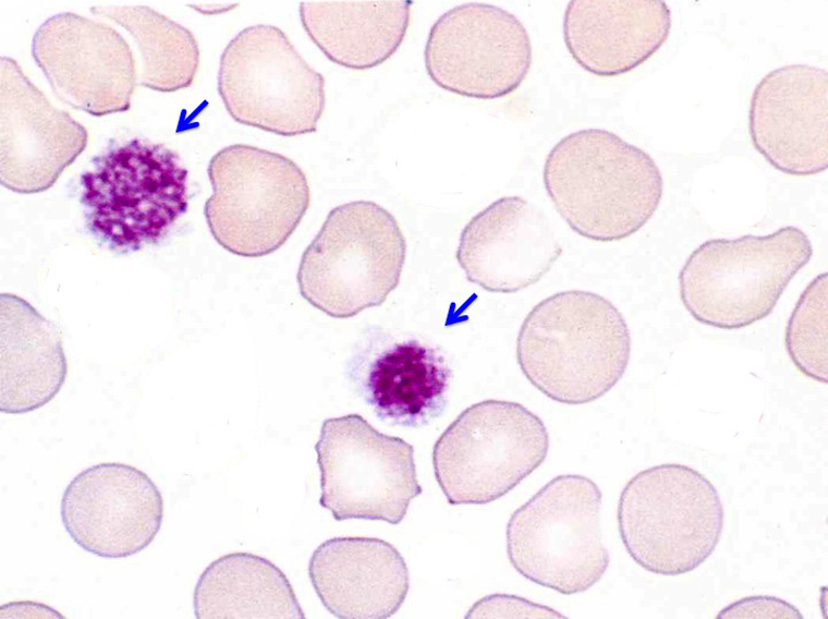 301 Moved Permanently